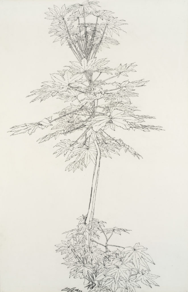 Oeuvres de Sam Szafran - Galerie DIL